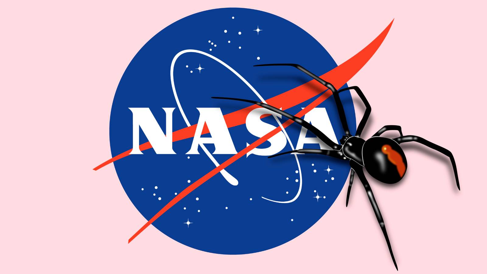 What Is The NASA Spider Experiment & Did It Really Happen?