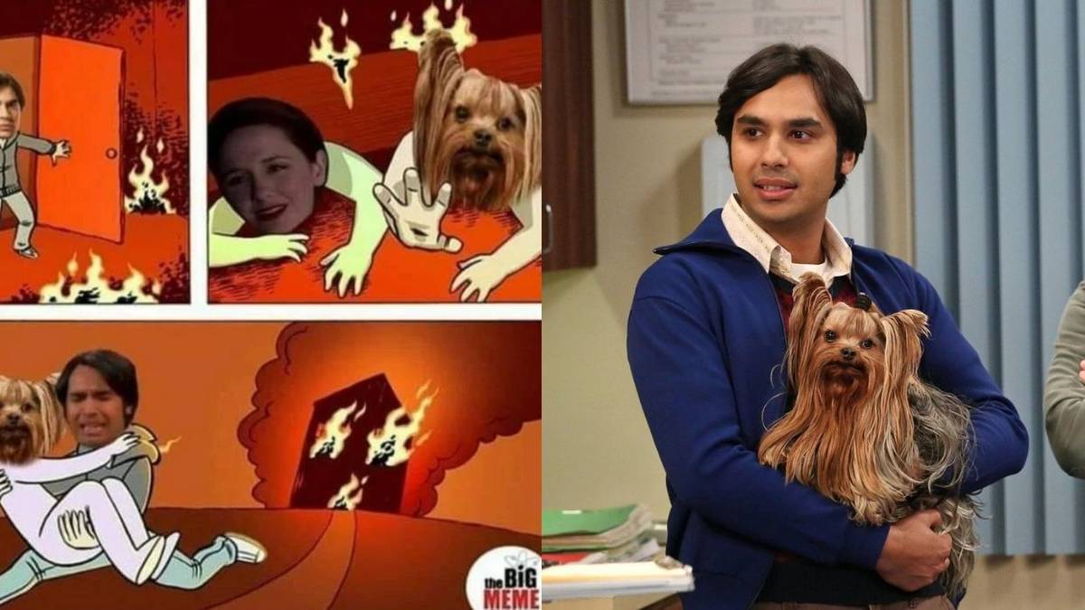 10 Big Bang Theory Memes That Perfectly Sum Up The Show