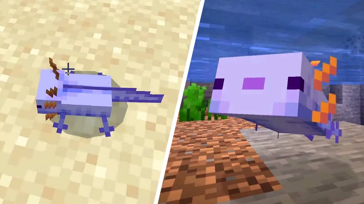 How To Spawn a Blue Axolotl In Every Minecraft Version