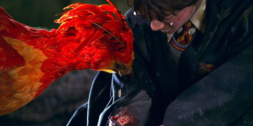 Harry Potter: 10 Facts About Fawkes The Phoenix Only Die-Hard Fans Know