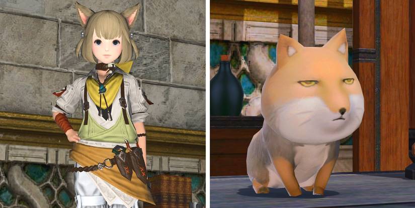 Final Fantasy XIV: How To Get The Troll Mount