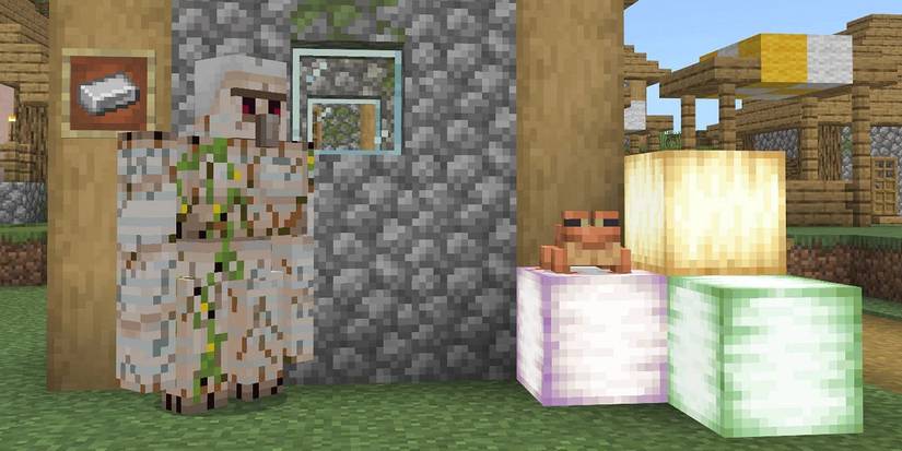 Minecraft: How to Get The Froglight Block (& What It's For)