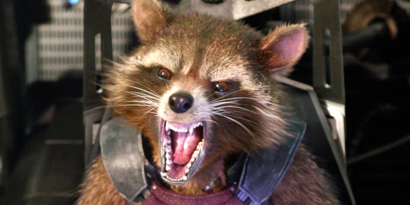 10 Quotes That Prove Rocket Raccoon Is The Saddest Guardian Of The Galaxy