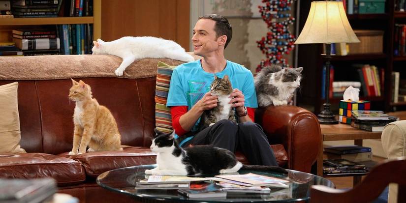 The Big Bang Theory: 12 Things That Make No Sense About Sheldon