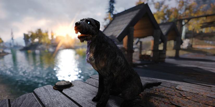 Best Dogs In Skyrim, Ranked