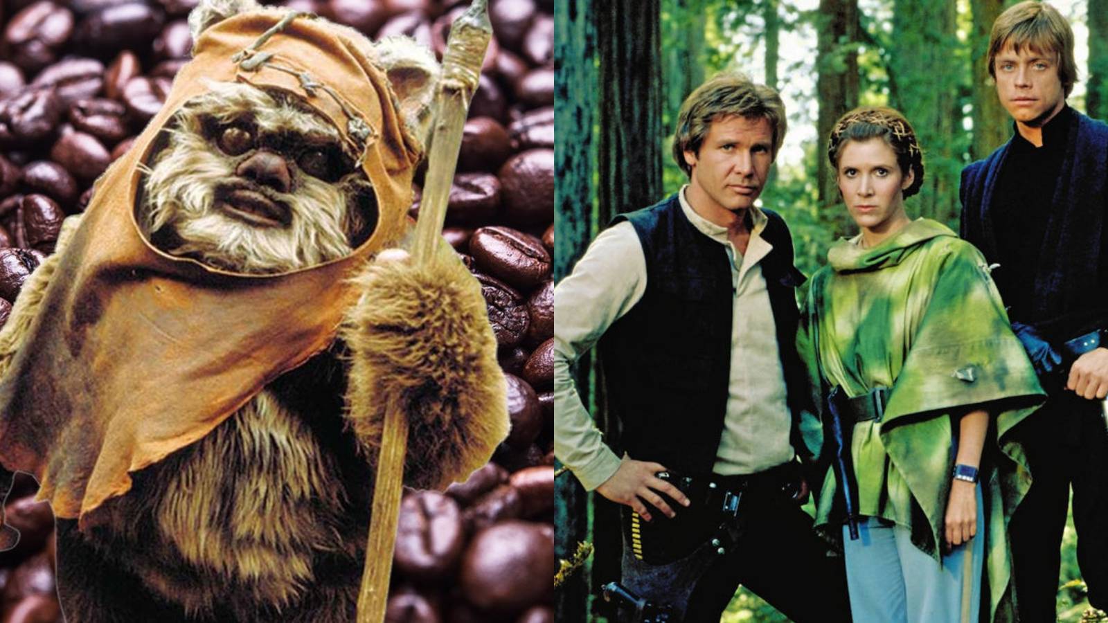 Star Wars: 11 Things Only Die-Hard Fans Know About Endor