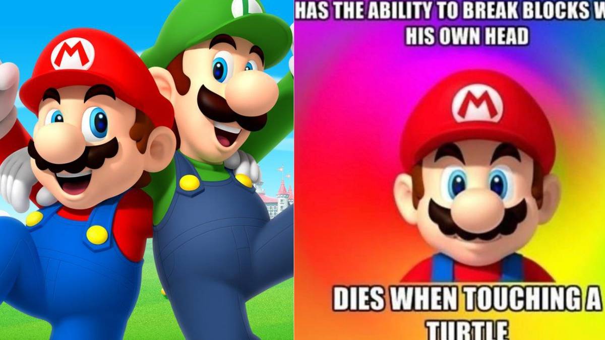 Memes Pak Mario