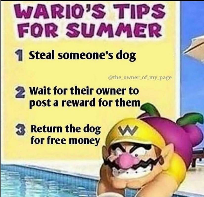 The 10 Funniest Wario Memes Of All-Time