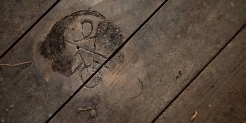 Yellowjackets Symbol Meaning: Theories & Why They're Scared Of It