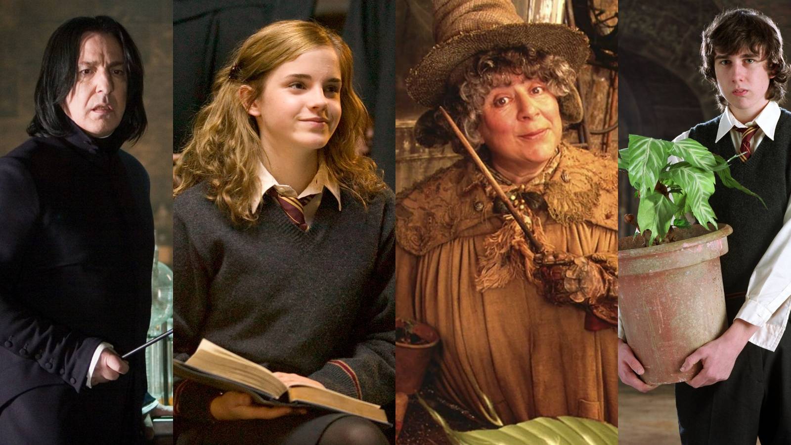 Harry Potter: 10 Hogwarts Professors & Their Student Counterparts