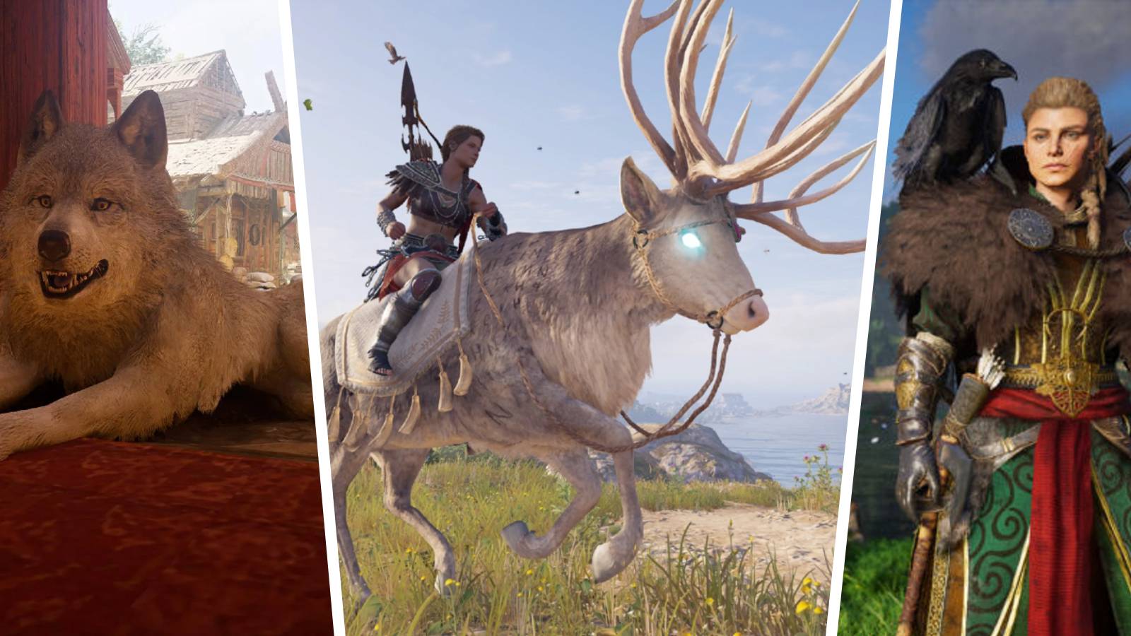 Assassin's Creed Valhalla's Best Animal Companions, Ranked