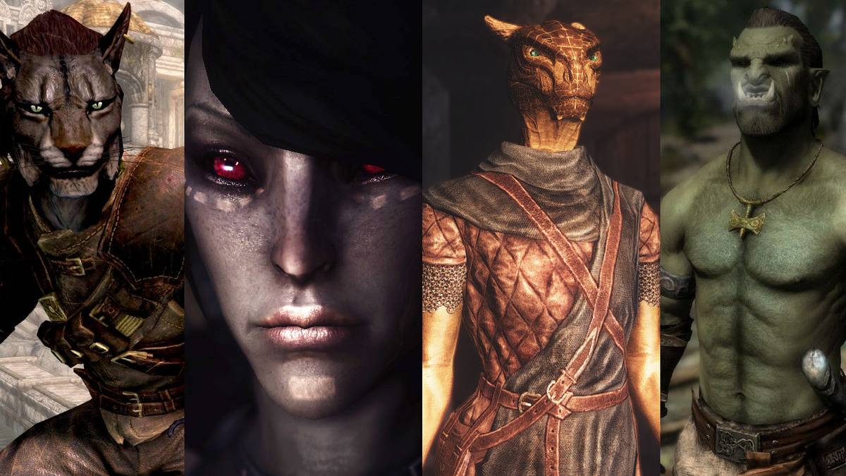 Skyrim Mods That Make Playable Races Better