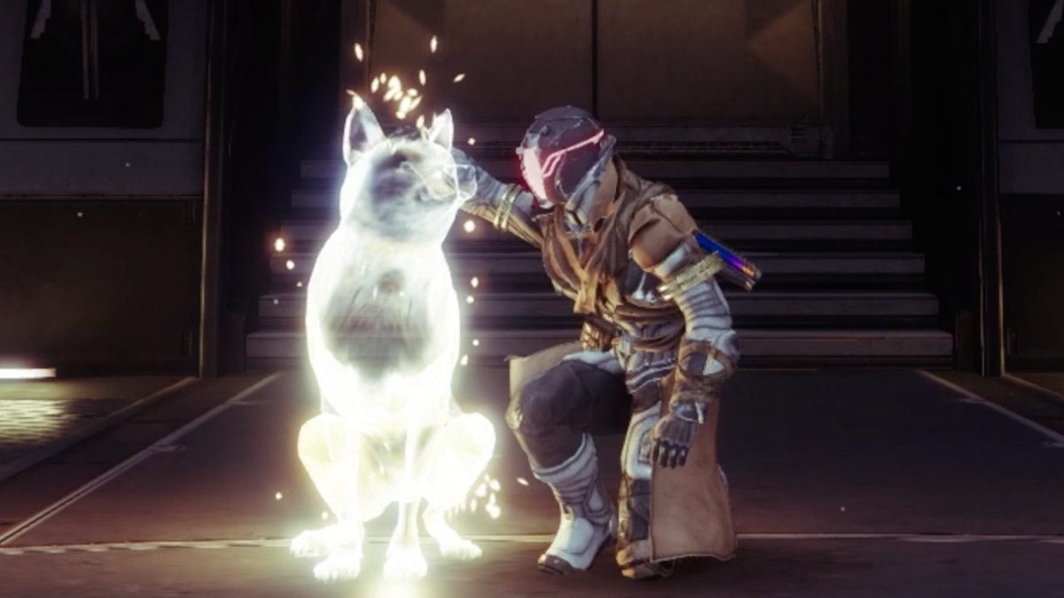 New Destiny 2 Season 17 Emote Lets You Pet Dogs For Charity