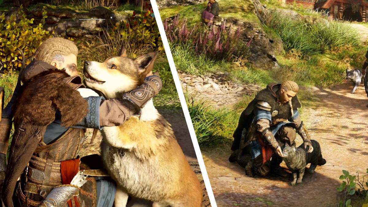 Every AC Valhalla Animal You Can Pet, Ranked