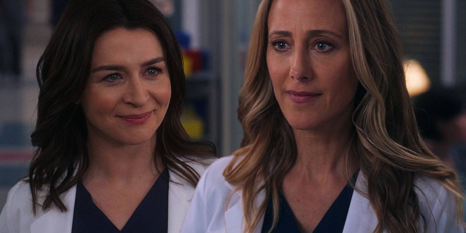 Grey's Anatomy Reveals The Only Good Thing That Came From Amelia & Owen