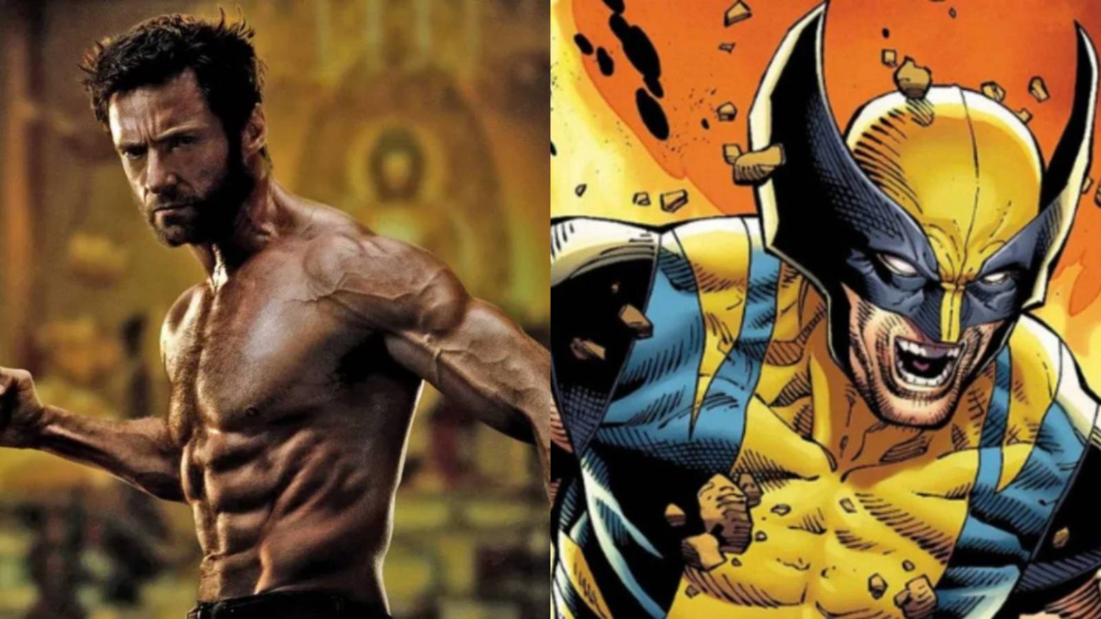 14 Movie Facts About Wolverine That People Commonly Mistake For Comics ...