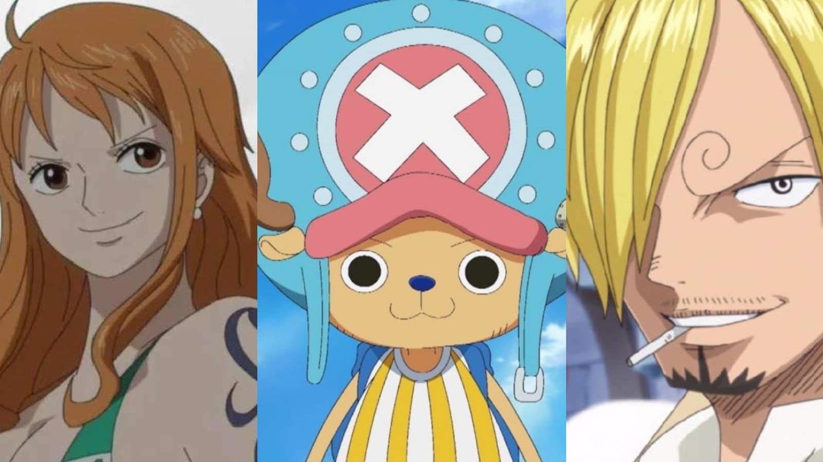 One Piece: Crew Members Ranked By Bravery
