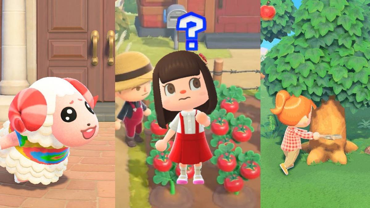 The Real Point of Animal Crossing