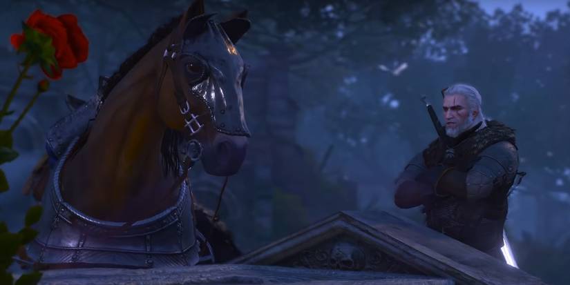 10 Characters We Want To See In The Witcher 4