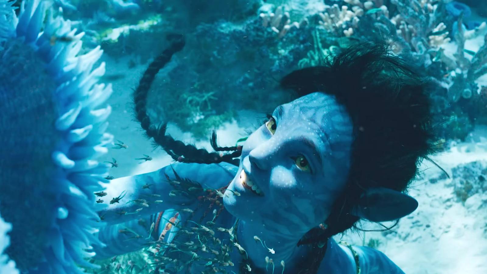 Avatar 2 New Underwater Creature Details Revealed