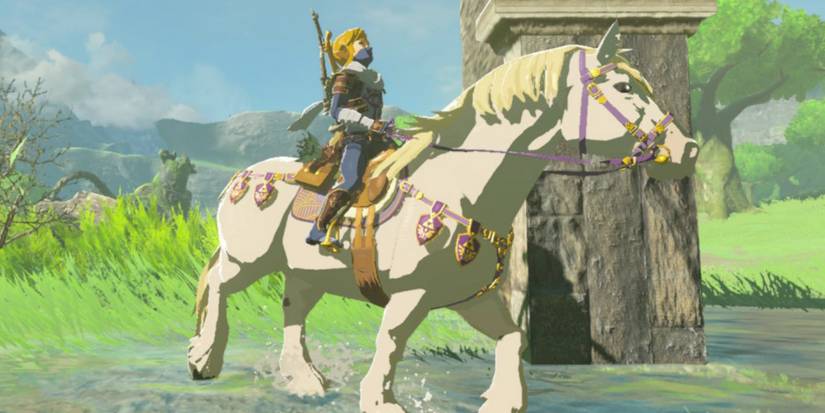 Everything You Forgot You Could Do In BOTW
