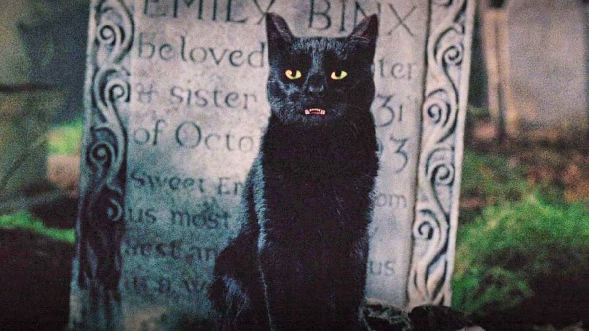 Hocus Pocus 2 Reportedly Won't Include Original Thackery Binx Actor