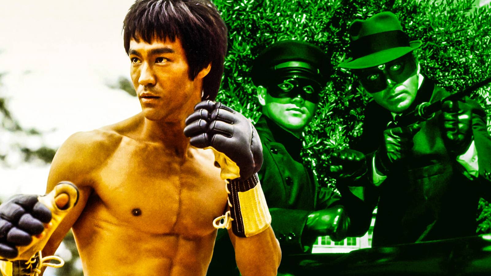 Did Bruce Lee Ever Lose A Fight? Rumors & True Stories Explained