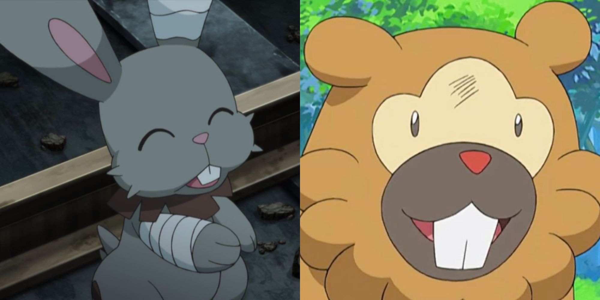 Pokémon: Every Regional Rodent, Ranked