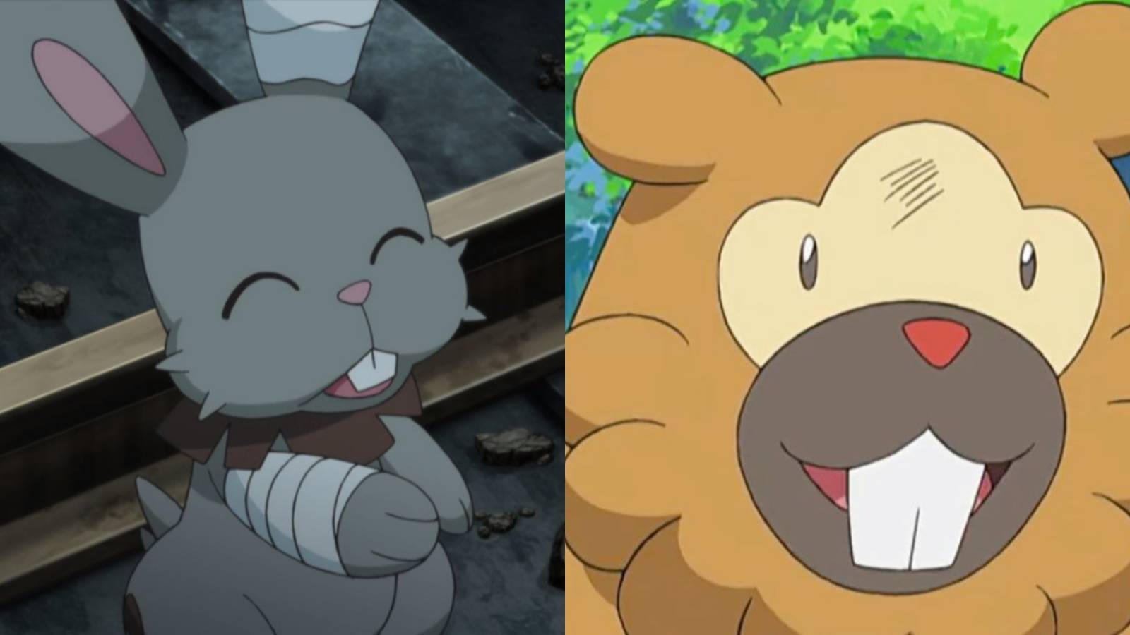 Pokémon: Every Regional Rodent, Ranked