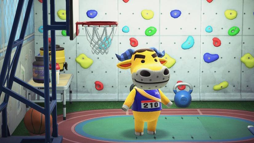Animal Crossing Villagers That Don't Deserve The Hate