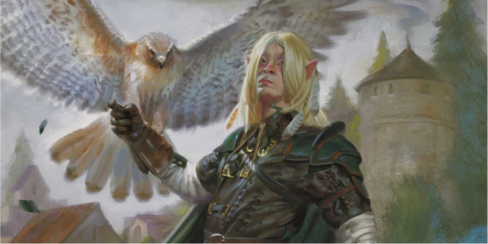 All 10 D&D Species In The 2024 Player's Handbook