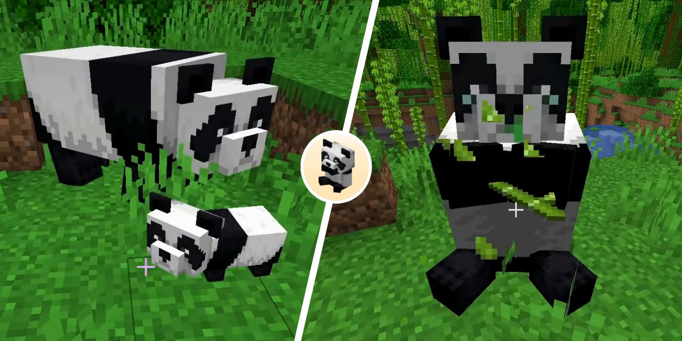 How To Breed Pandas in Minecraft