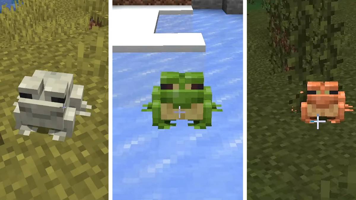 How to Spawn Cold, Temperate, or Warm Frogs in Minecraft