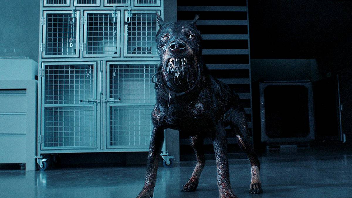 Netflix's Resident Evil Show Images Give Best Look Yet At Zombie Dog