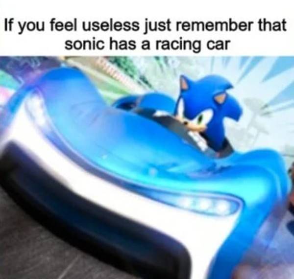 Sonic The Hedgehog: 10 Hilarious Memes That Sum Up The Games