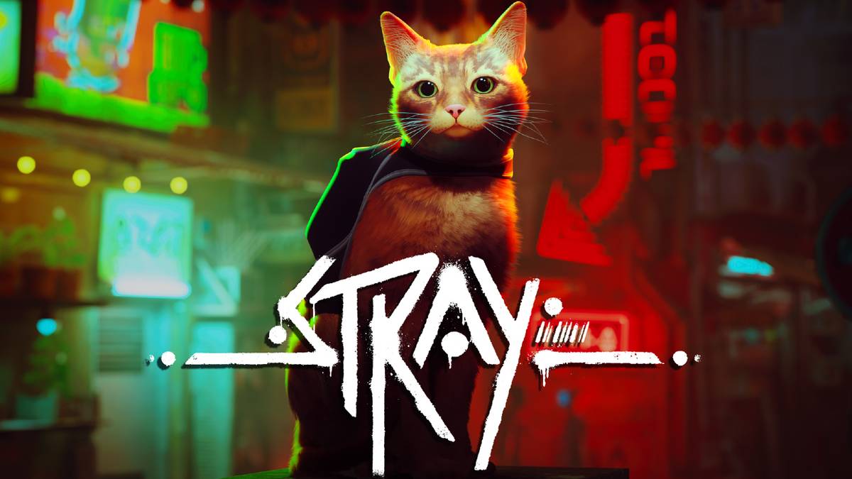 Stray Review: Finding A Home As One Of 2022's Best