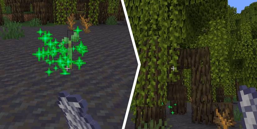 How to Get (& Use) Mangrove Propagules in Minecraft
