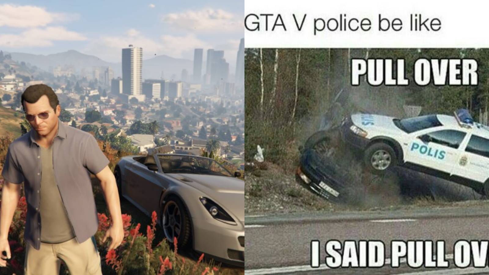Grand Theft Auto V: 10 Memes That Perfectly Sum Up The Game