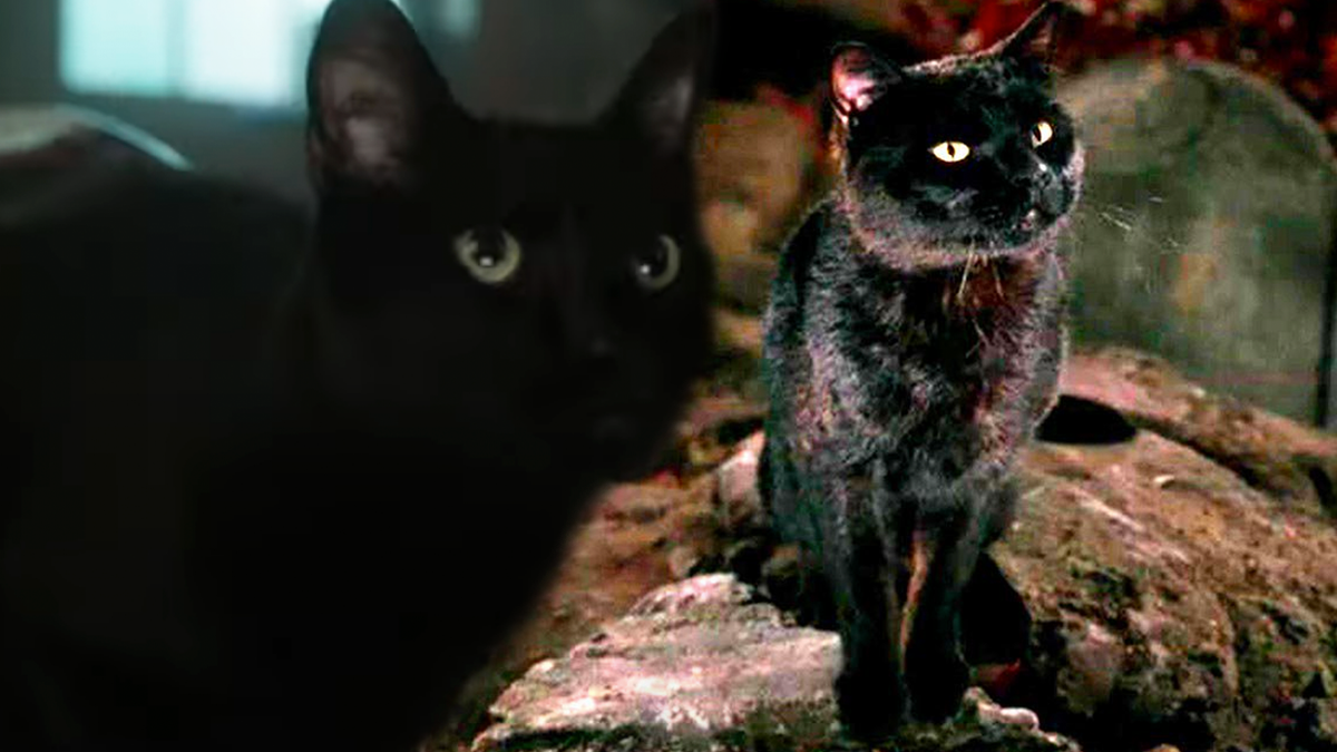 Is That Thackery Binx In Hocus Pocus 2?!