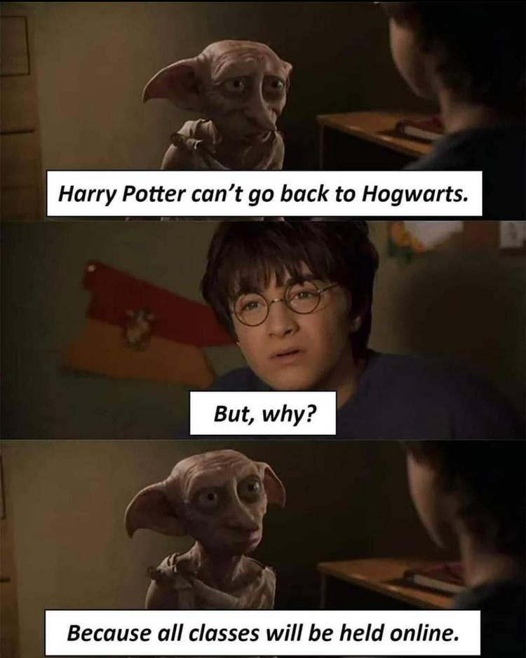 Harry Potter: 15 Memes That Sum Up The Chamber Of Secrets