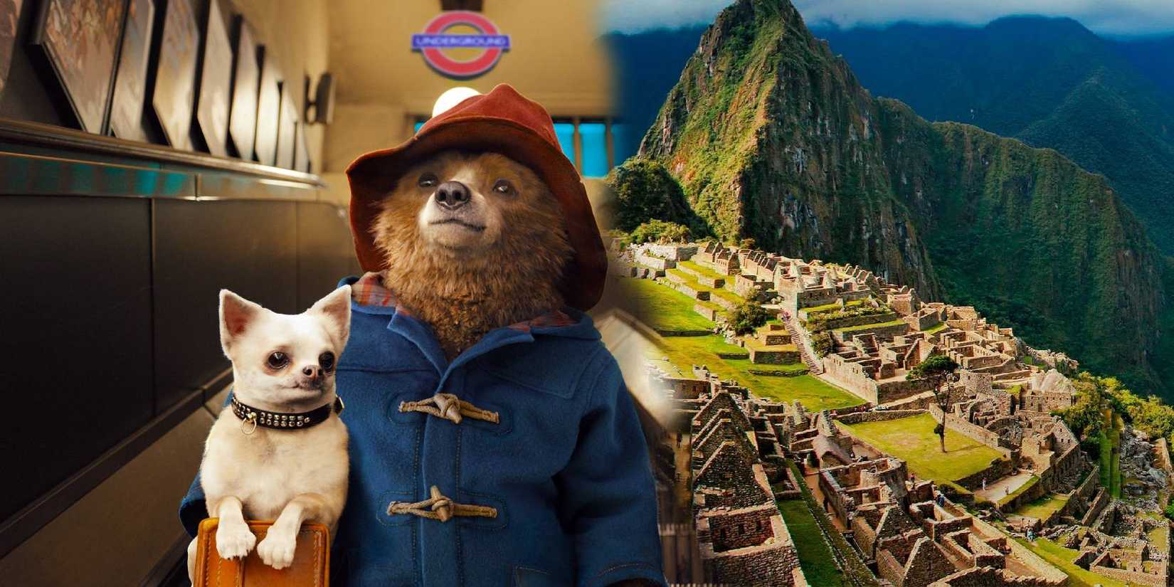 Paddington In Peru Ending Explained