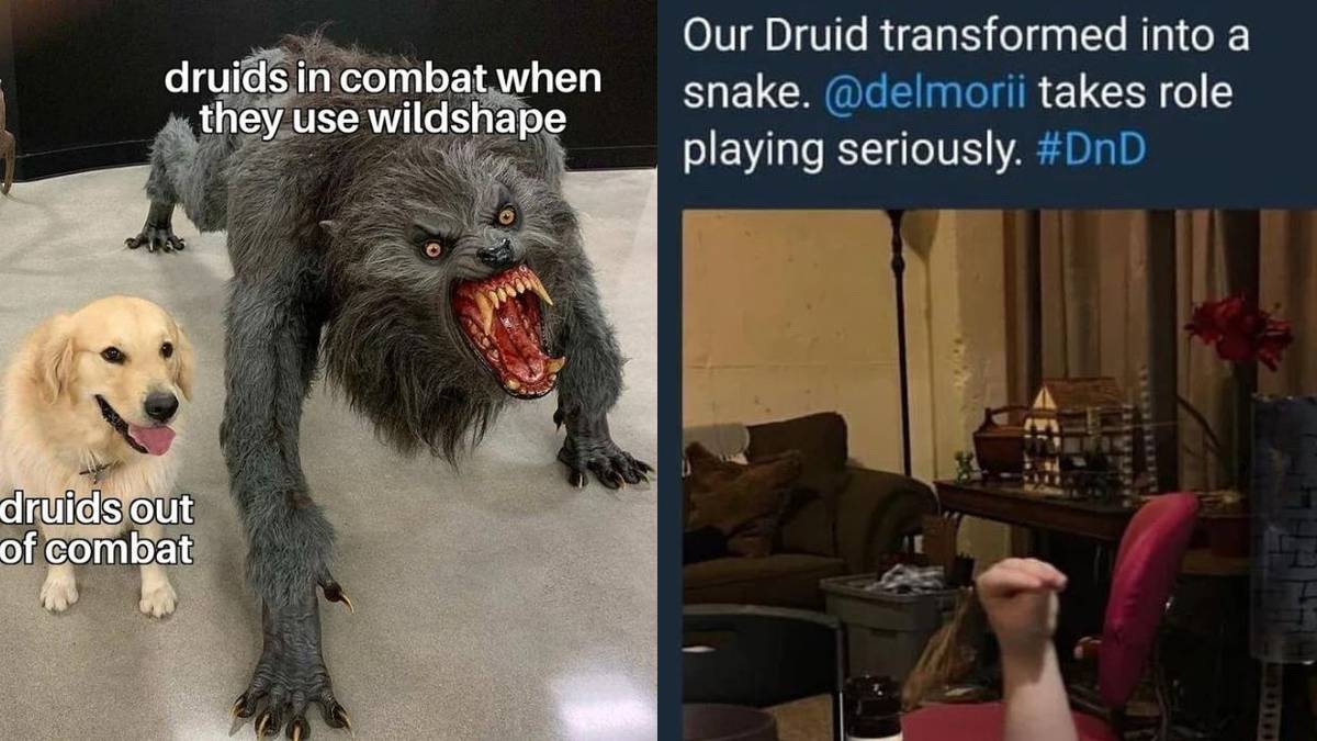 10 Dungeons And Dragons Memes That Perfectly Sum Up Playing A Druid