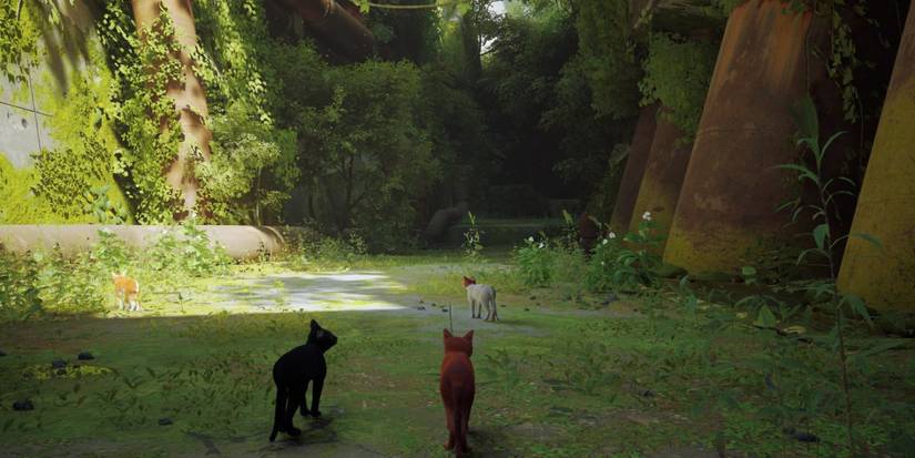 Stray: 10 Things We Learned About The Game's Dystopian World