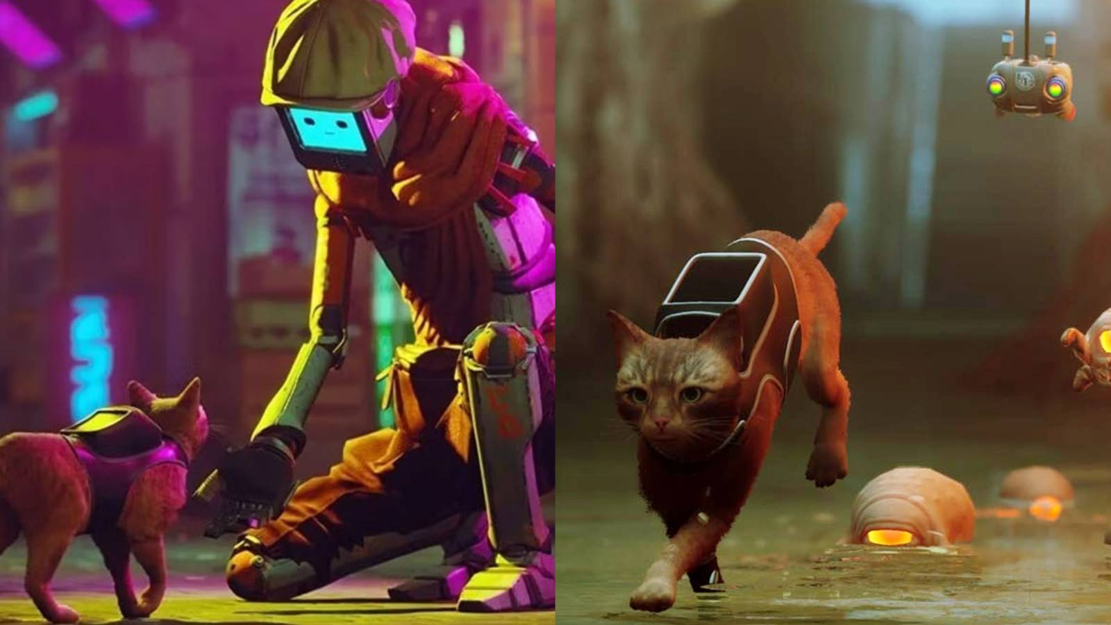 Stray: 10 Things We Learned About The Game's Dystopian World
