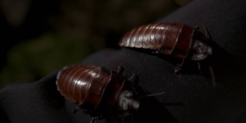 10 Things You Never Knew About Men In Black