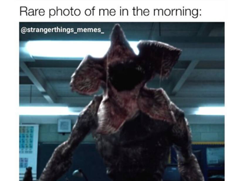 Stranger Things: 6 Most Hilarious Demogorgon Memes