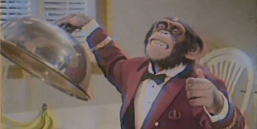 Gordy The Ape?! Why Nope Needed Its Weirdest Subplot