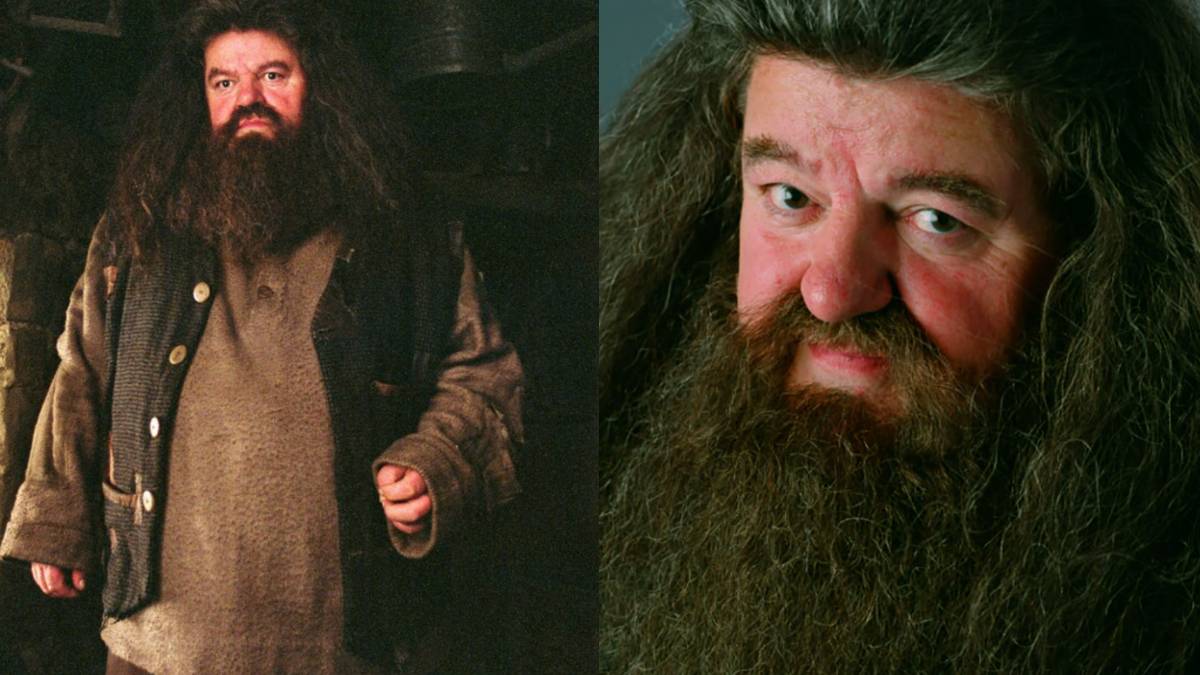 Harry Potter: 8 Wild Fan Theories About Hagrid, According to Reddit
