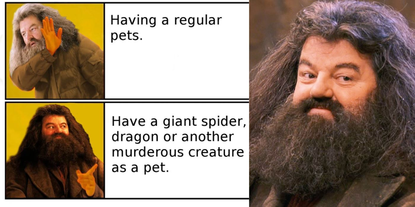 Harry Potter: 10 Memes That Perfectly Sum Up Hagrid As A Character