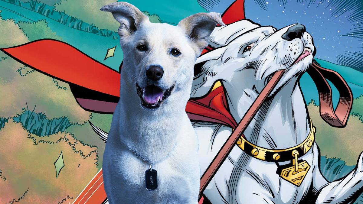 Titans Season 4 Finale Set Video Teases Krypto's Red Cape